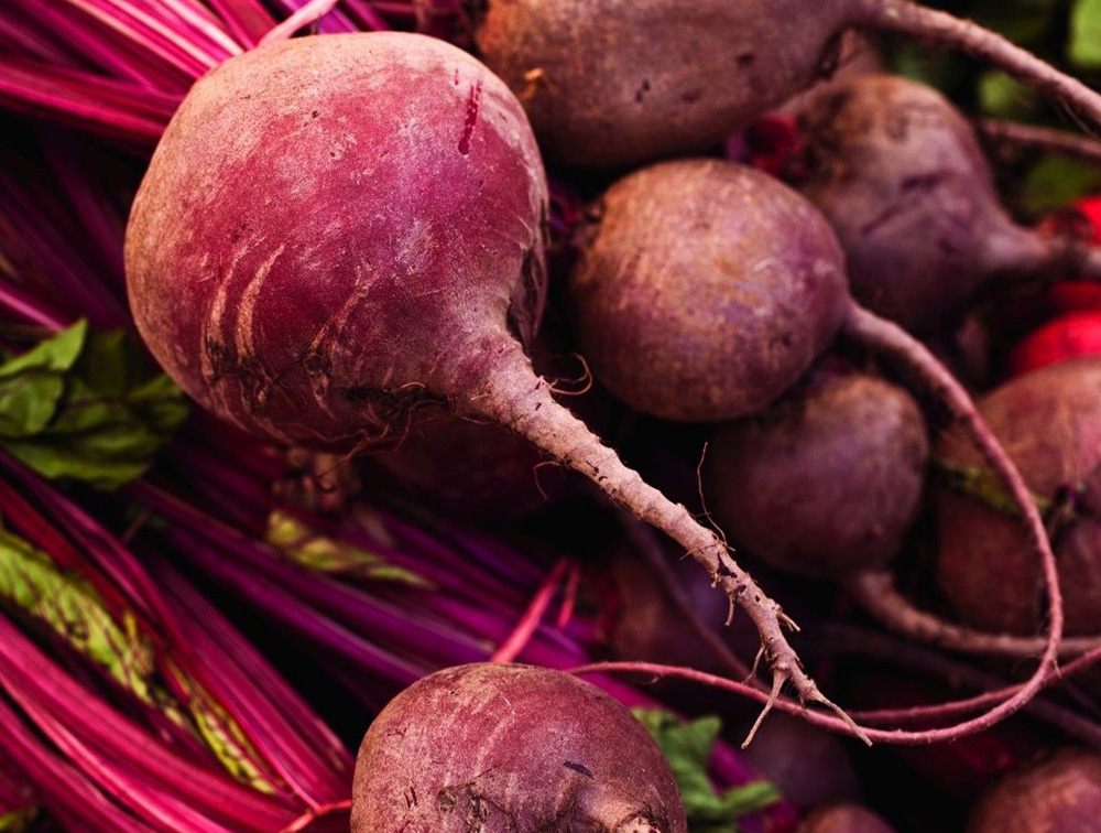 Purea di bietola rossa - Vendita all'ingrosso per l'industria ...